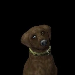 Georgie Starteup | Simpédia, Wiki Les Sims | Fandom