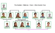 Alto family | The Sims Wiki | Fandom