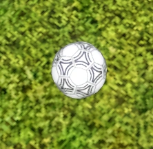Soccer ball | The Sims Wiki | Fandom