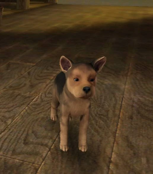 Fanon:Tiny Rodrigues | The Sims Wiki | Fandom