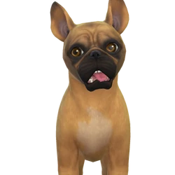 Ruby | The Sims Wiki | Fandom