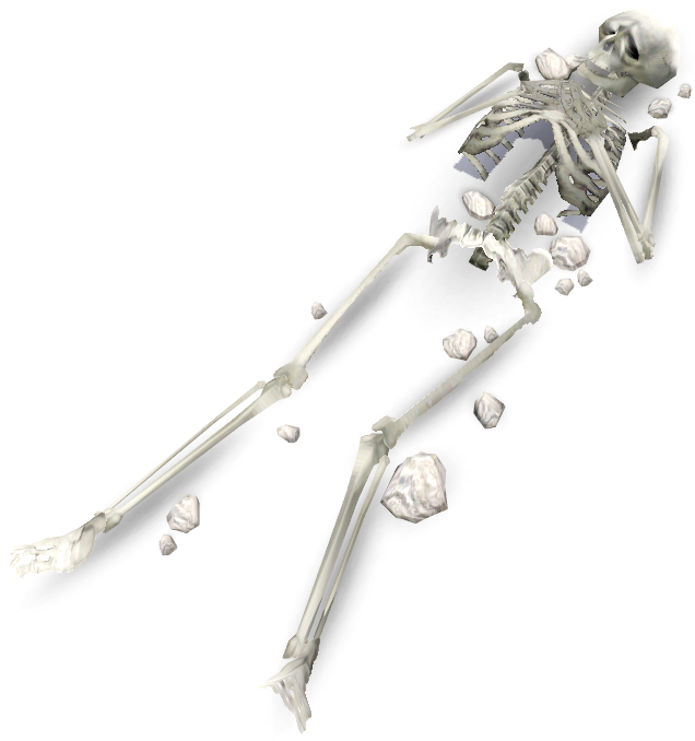 Skeleton (object) | The Sims Wiki | Fandom