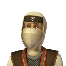 Ninja | The Sims Wiki | Fandom