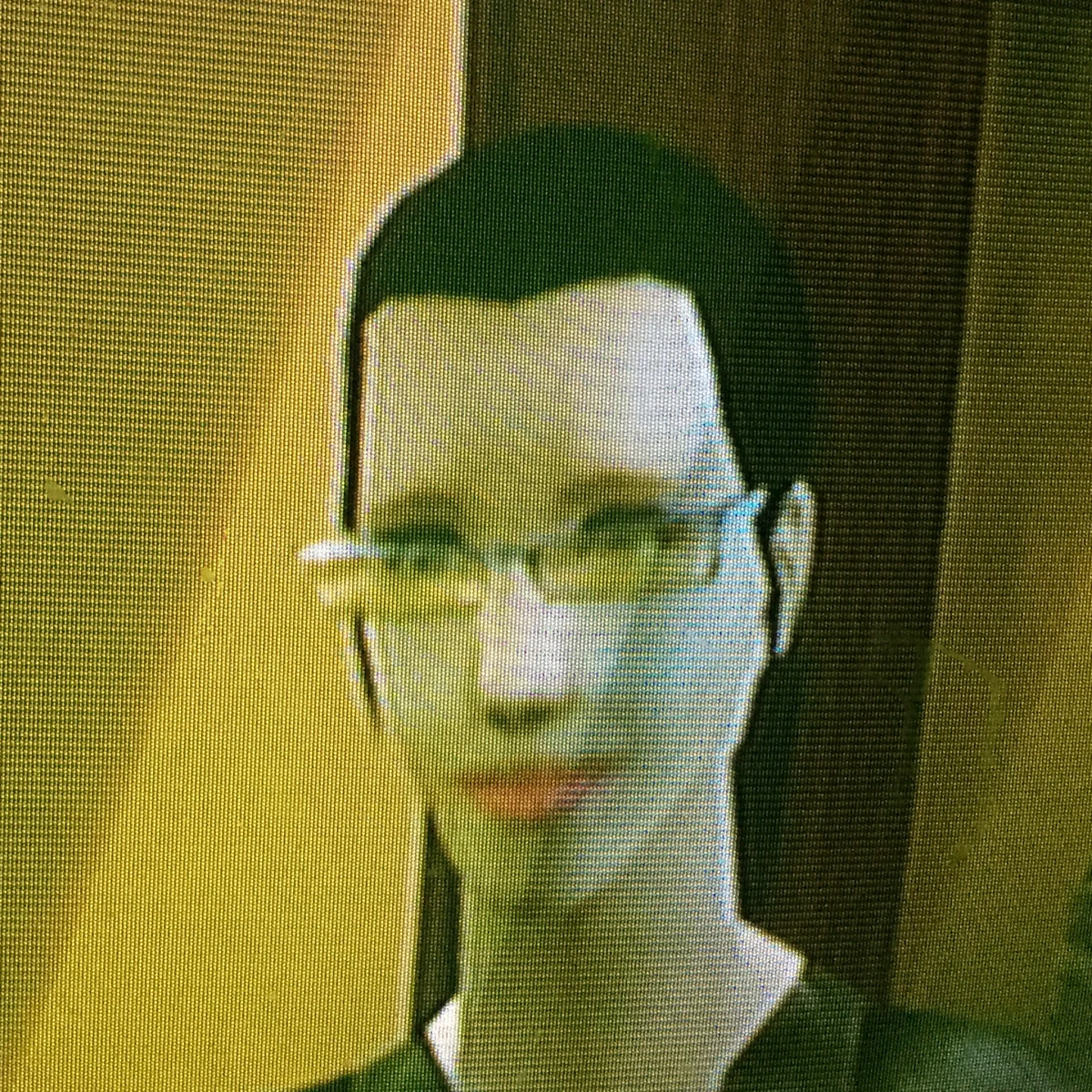 Category:Completed fanon | The Sims Wiki | Fandom