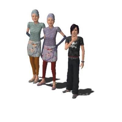 Atkins family | The Sims Wiki | Fandom