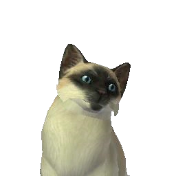 Kim | The Sims Wiki | Fandom