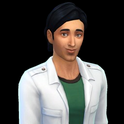 Raj Khemlani | The Sims Wiki | Fandom
