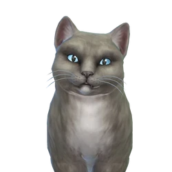Shadow | The Sims Wiki | Fandom