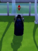 Death | The Sims Wiki | Fandom