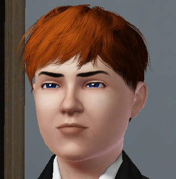 Fanon:Heinz Beanerson | The Sims Wiki | Fandom