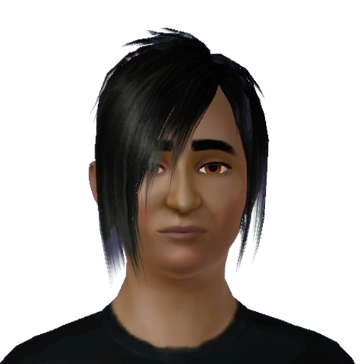 Jimmy Justice | The Sims Wiki | Fandom
