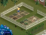 The Sims: Unleashed | The Sims Wiki | Fandom