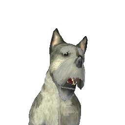 Kim (dog) | The Sims Wiki | Fandom