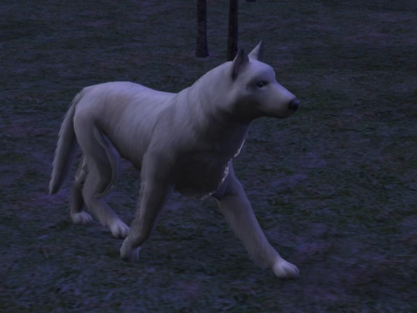 Wolf | The Sims Wiki | Fandom