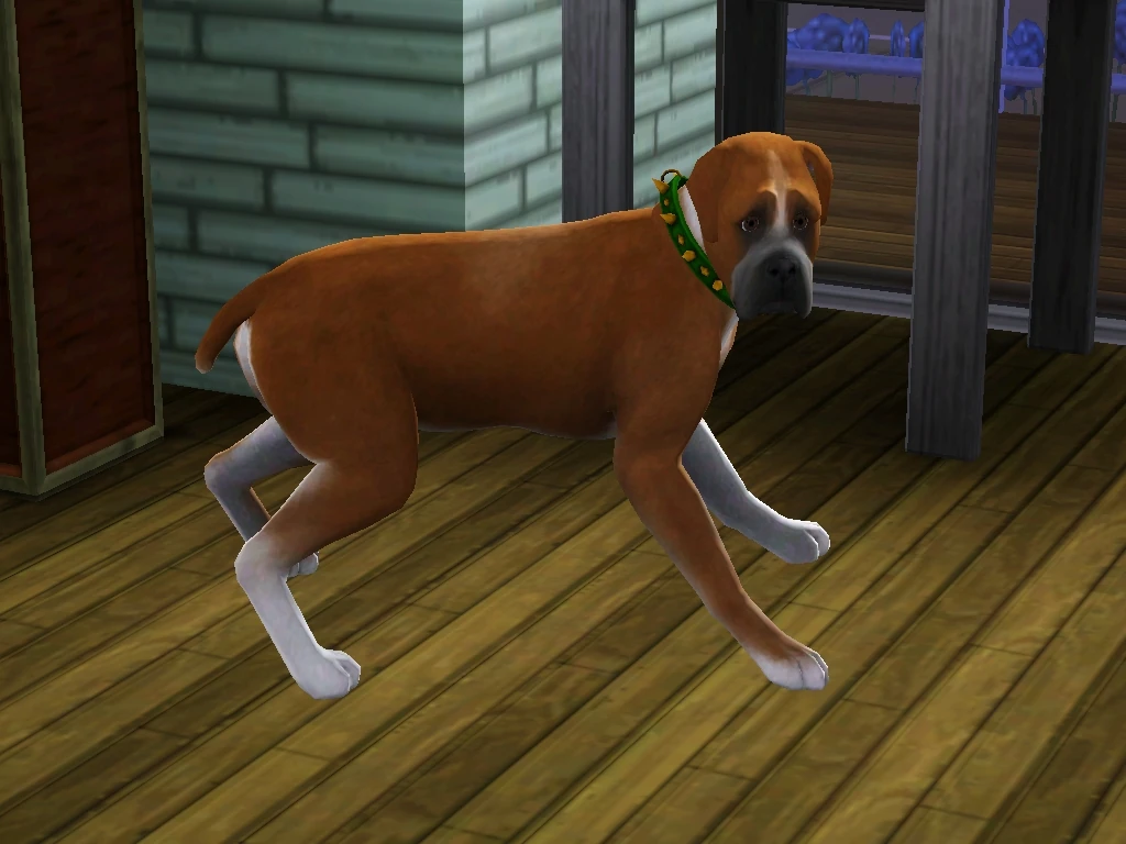 Fanon:Buddy Da Costa | The Sims Wiki | Fandom