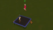 Trampoline | The Sims Wiki | Fandom