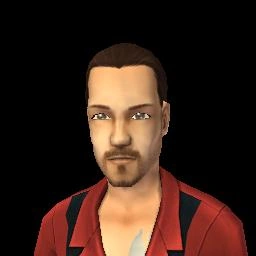Category:Fanon created and owned by PierceRedacted | The Sims Wiki | Fandom