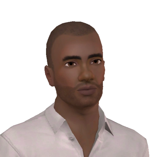 Raylen Richardson | The Sims Wiki | Fandom
