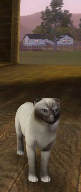 Fanon:Roxy Lament | The Sims Wiki | Fandom