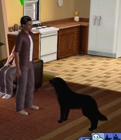 Marcel Gattus | The Sims Wiki | Fandom