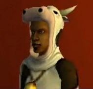 Sinjin Balani | The Sims Wiki | Fandom