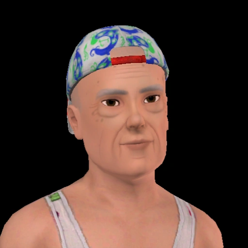 Raymond Lee | The Sims Wiki | Fandom