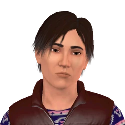 Ari Wong | The Sims Wiki | Fandom