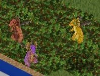 Dragón | SimsPedia | Fandom