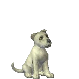 Suzi | The Sims Wiki | Fandom