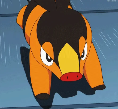 Tepig Gif