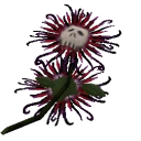 Цветок смерти | The Sims Вики | Fandom