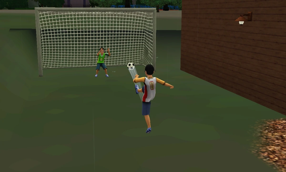 Soccer goal | The Sims Wiki | Fandom