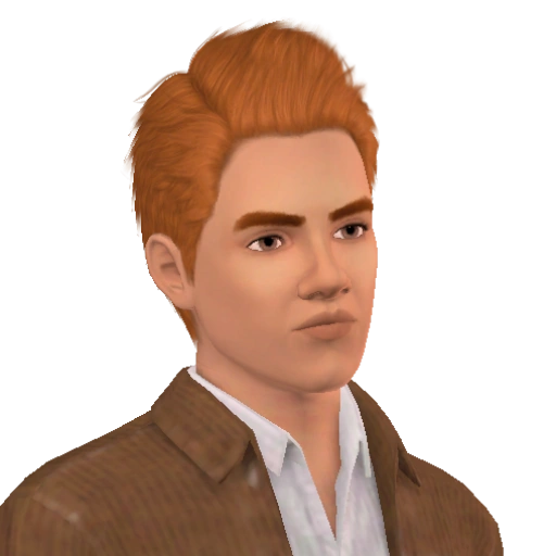 Fanon:Bryan Schmidt | The Sims Wiki | Fandom