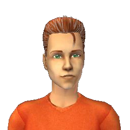 Tutorial Joe Sim (New Gameplay) | The Sims Wiki | Fandom