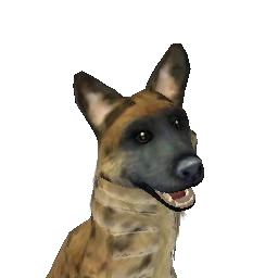 Tanekaha | The Sims Wiki | Fandom