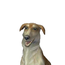 Rudy | The Sims Wiki | Fandom