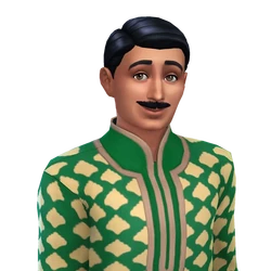Raj Parikh | The Sims Wiki | Fandom