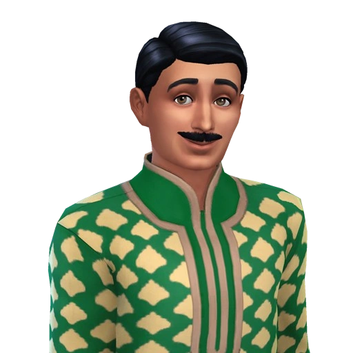 Raj Parikh | The Sims Wiki | Fandom