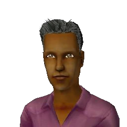 Tim Lee DeMise | The Sims Wiki | Fandom