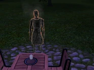 Meteor | The Sims Wiki | Fandom