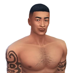 Wayne The Boulder | The Sims Wiki | Fandom