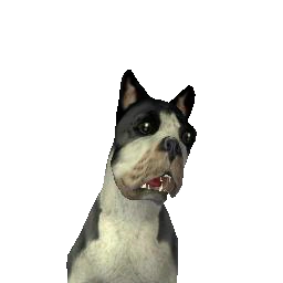 Peanut | The Sims Wiki | Fandom