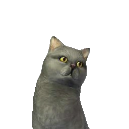 Fluffy (Garden Heights) | The Sims Wiki | Fandom