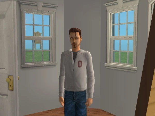 Fanon:The Story Of 3 Young Adults Part 2 | The Sims Wiki | Fandom