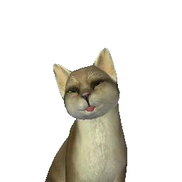 Diddy | The Sims Wiki | Fandom