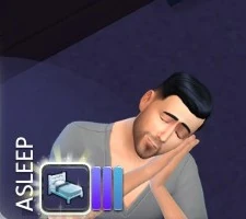 Asleep | The Sims Wiki | Fandom