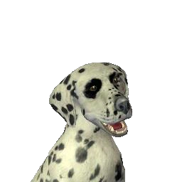 Andy | The Sims Wiki | Fandom