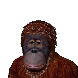 Titi-Pounamu | The Sims Wiki | Fandom