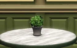 Indoor plants/The Sims 3 | The Sims Wiki | Fandom