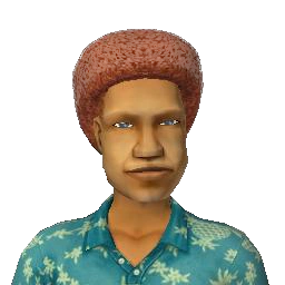 Sullivan Vijayakar | The Sims Wiki | Fandom
